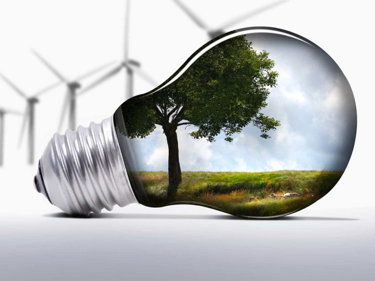 eco_light_bulb - Appliance Retailer